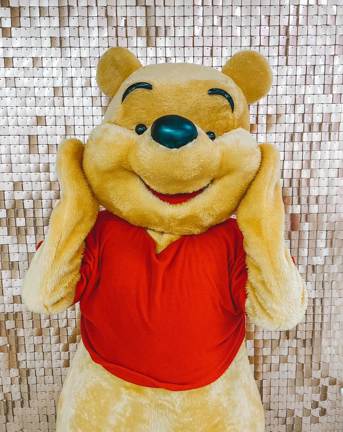 Mascots – Little Princess Parties